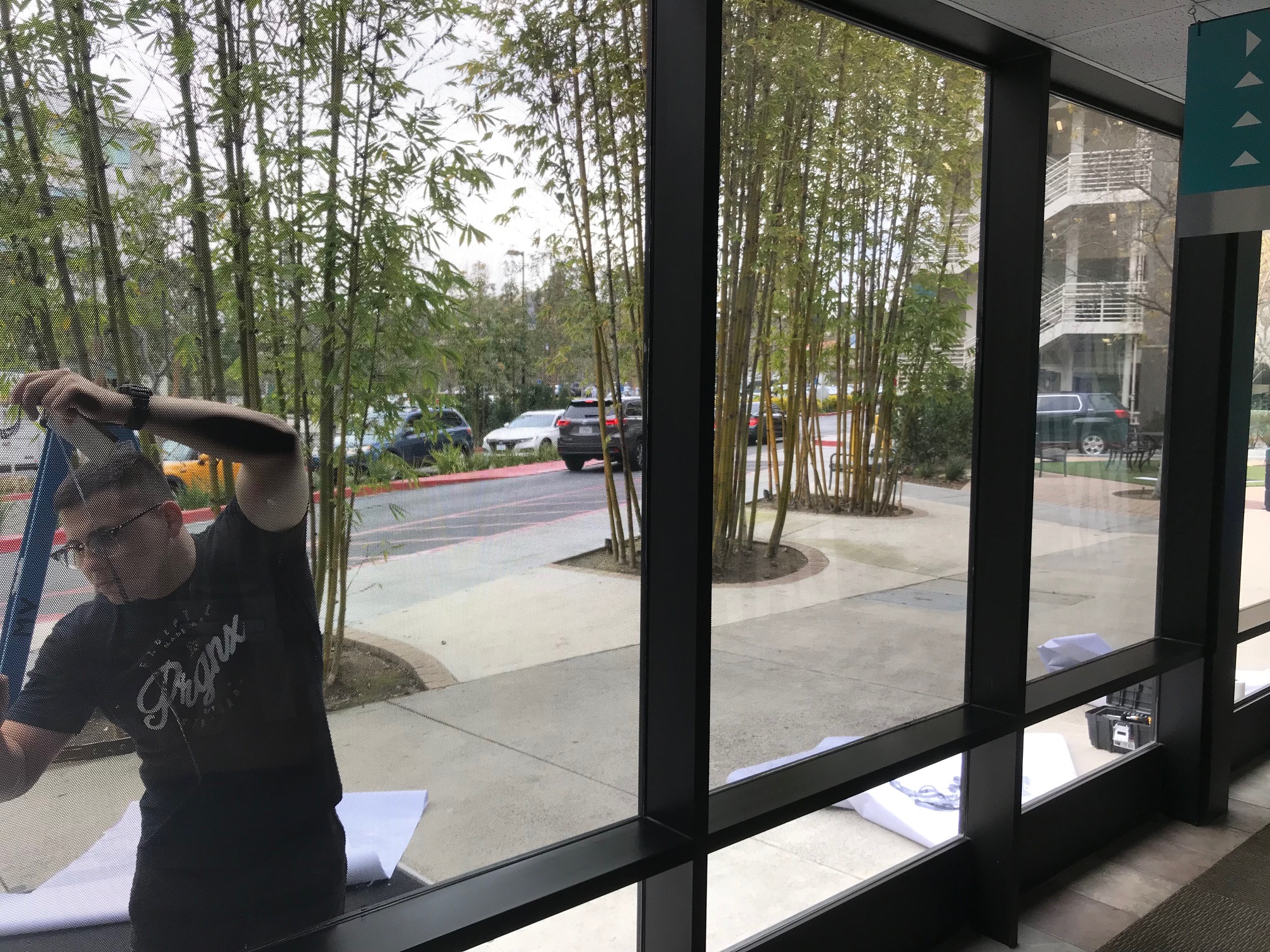 Perforated Window Vinyl for Storefronts | SignsRxUSA